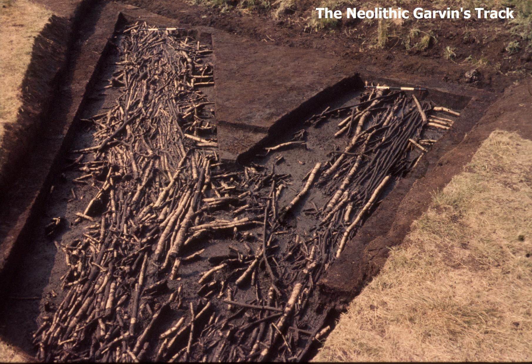 The Prehistoric Trackways | 'Hands on Heritage' in the Avalon Marshes