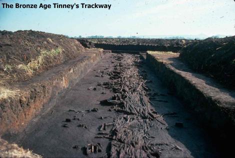 The Prehistoric Trackways | 'Hands on Heritage' in the Avalon Marshes