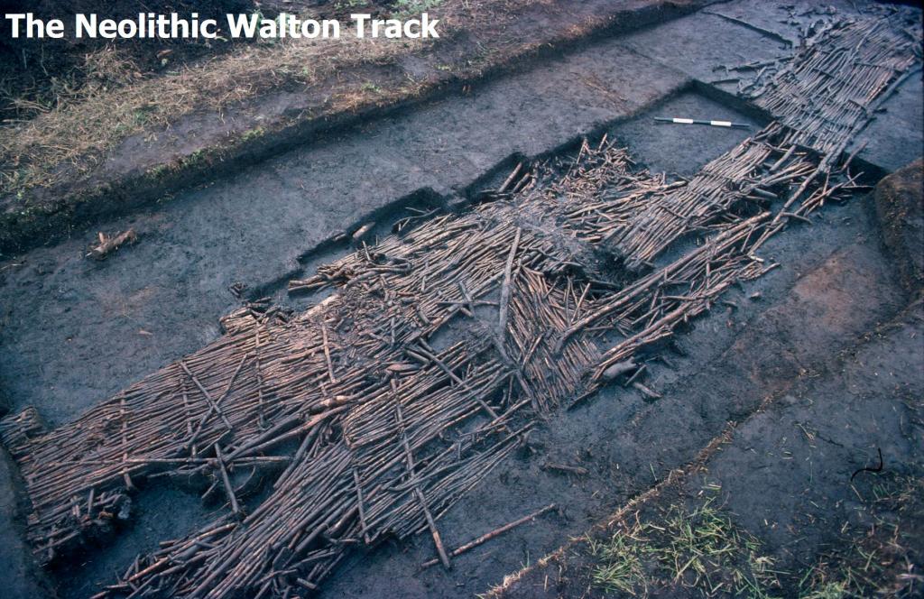 Walton Track | 'Hands on Heritage' in the Avalon Marshes