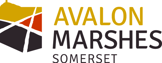 Walton Track | 'Hands on Heritage' in the Avalon Marshes