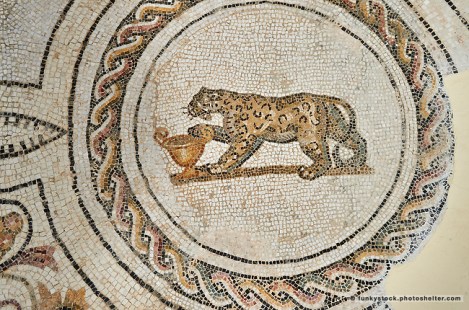 Animals in Roman mosaics | 'Hands on Heritage' in the Avalon Marshes